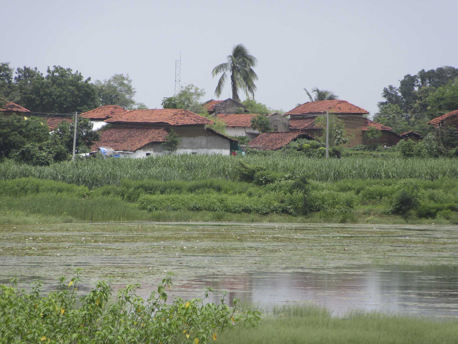 Wainganga: A lifeline of Central India - Veditum India Foundation