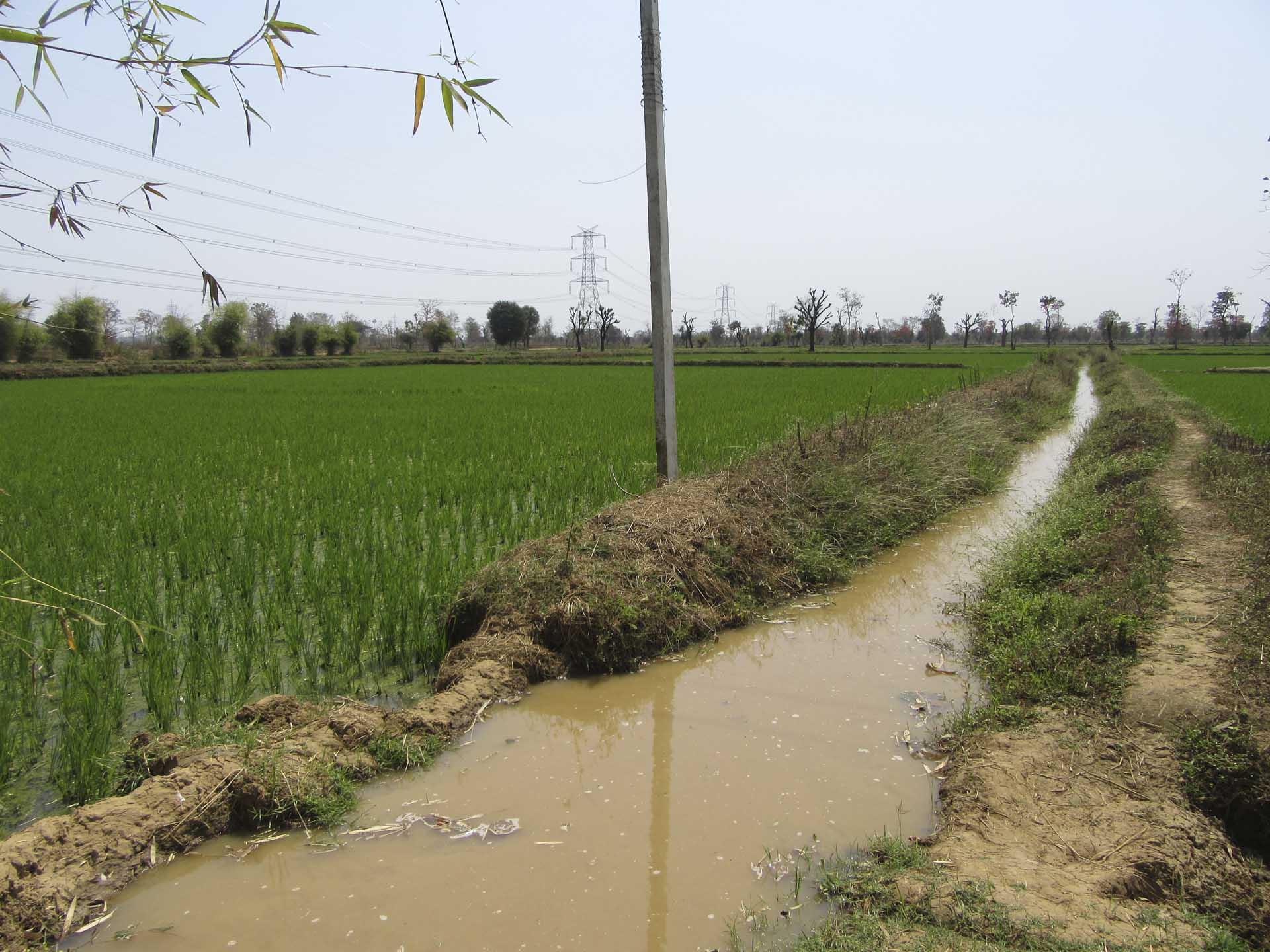 Wainganga: A lifeline of Central India - Veditum India Foundation